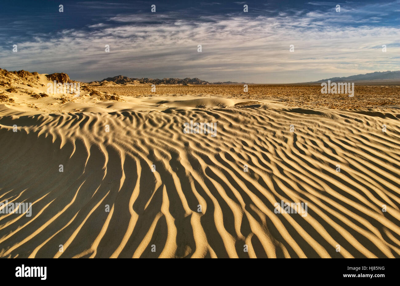 Cadiz Dunes in Mojave Trails National Monument, Mojave Desert ...