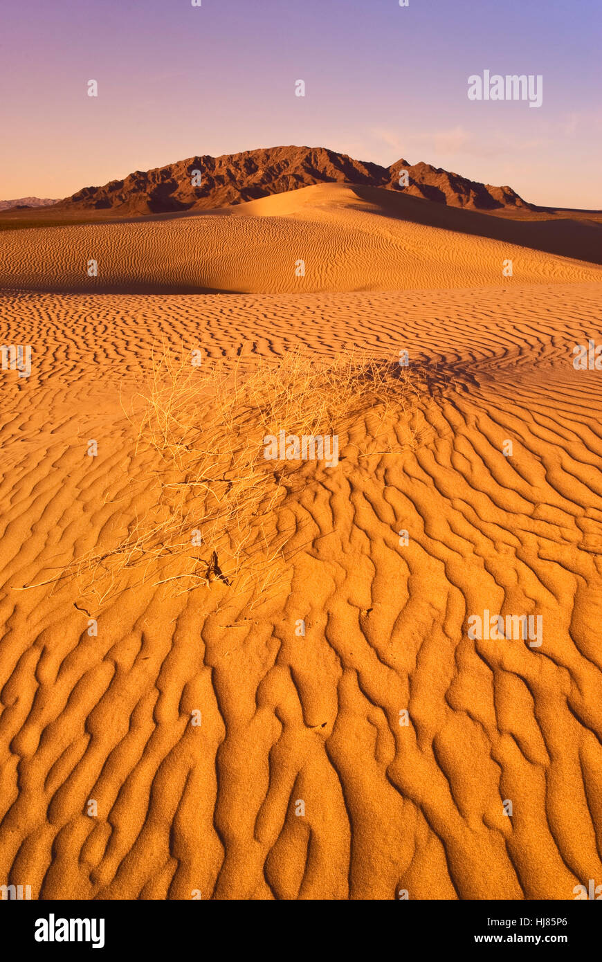 Cadiz Dunes at sunset, Ship Mountains in distance at Mojave Desert ...