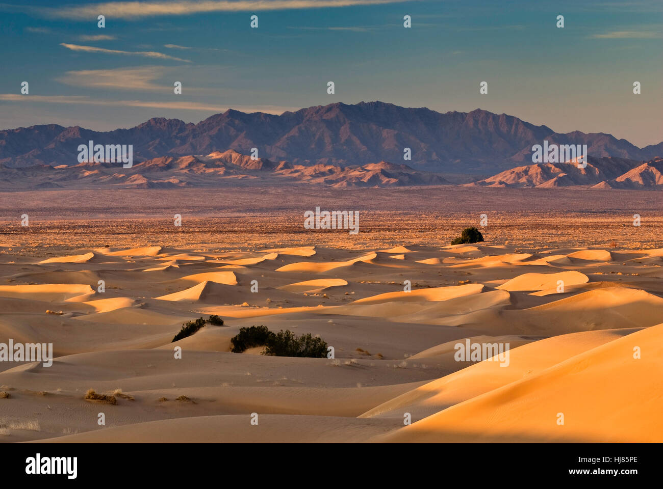 Cadiz Dunes at sunrise, Sheephole Mountains in distance at Mojave ...