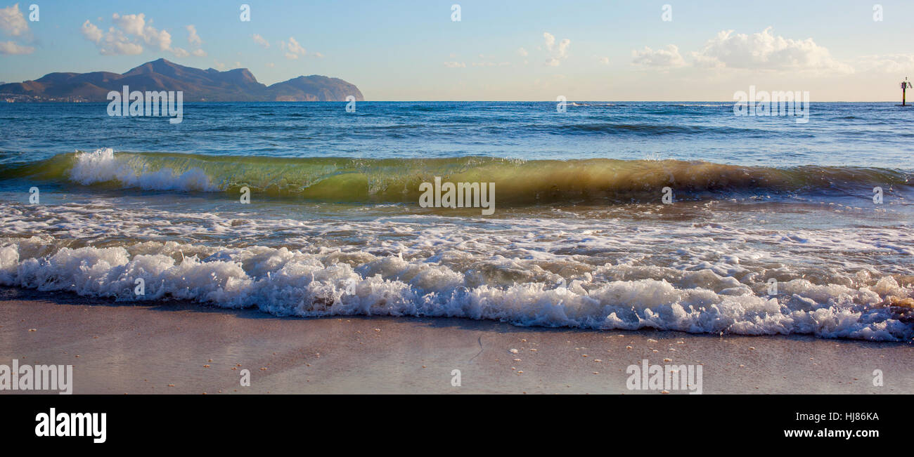 Waves sea shells Stock Photo - Alamy