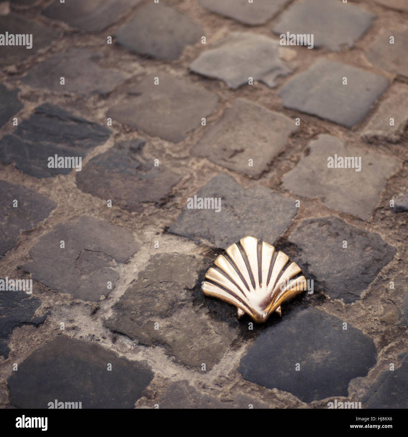 Santiago shell in Brussels Stock Photo - Alamy