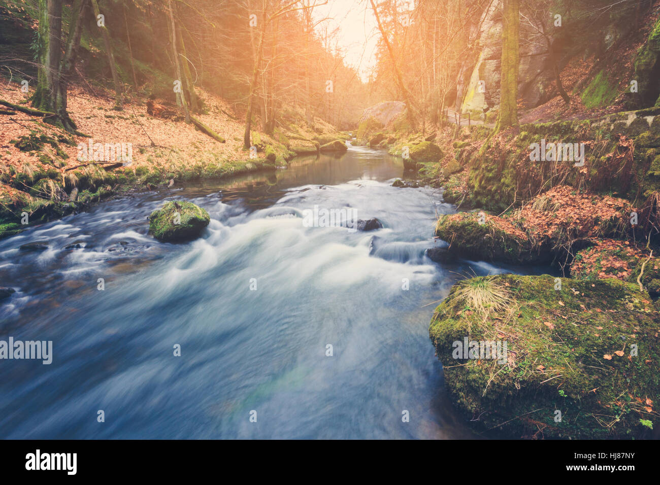 Flow river in forest autumn hi-res stock photography and images - Alamy
