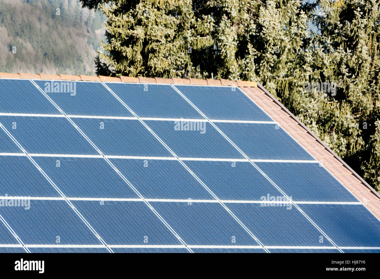 Muffuns hi-res stock photography and images - Alamy