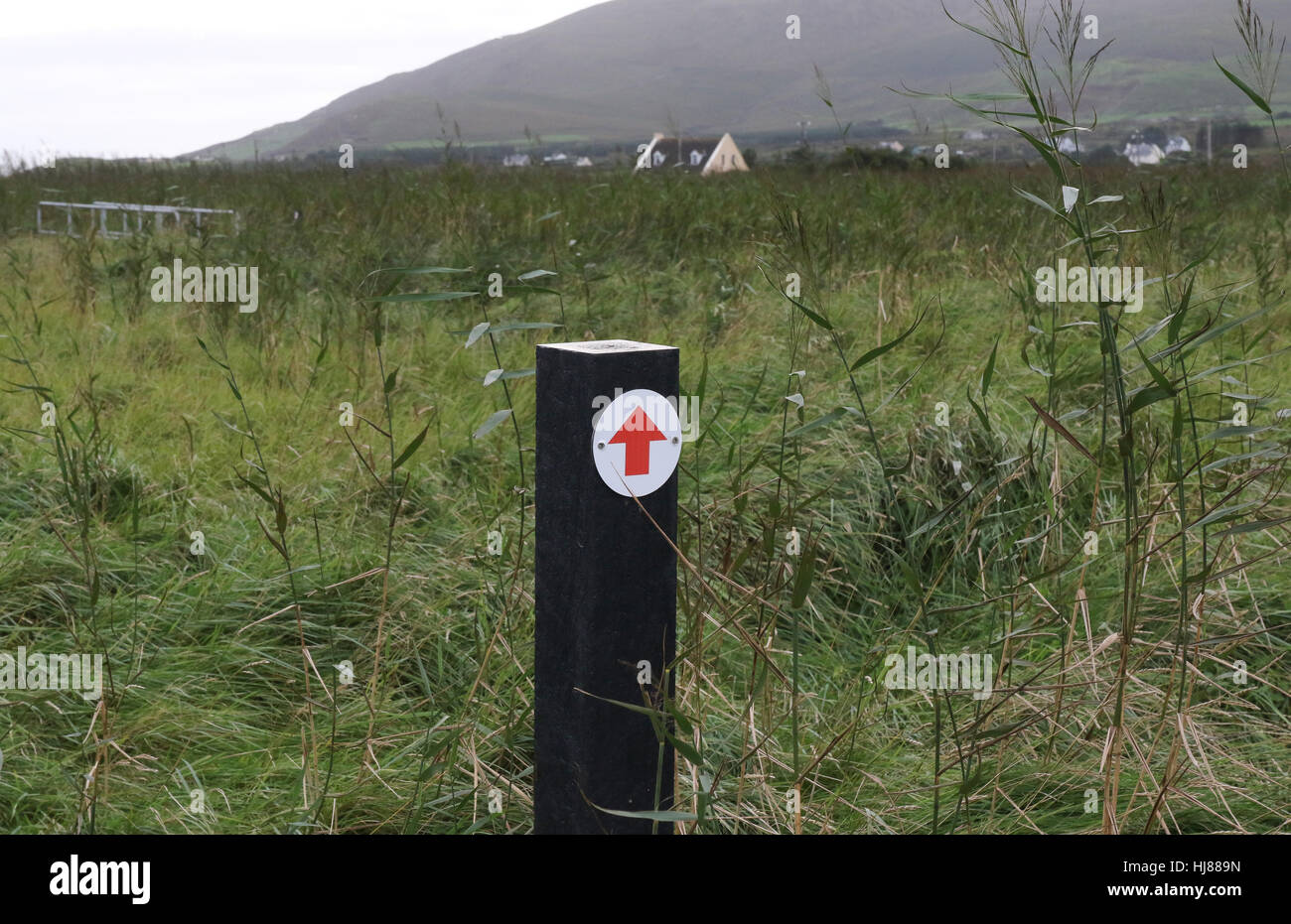Wooden direction marker for walking route at Ballinskelligs Priory ...