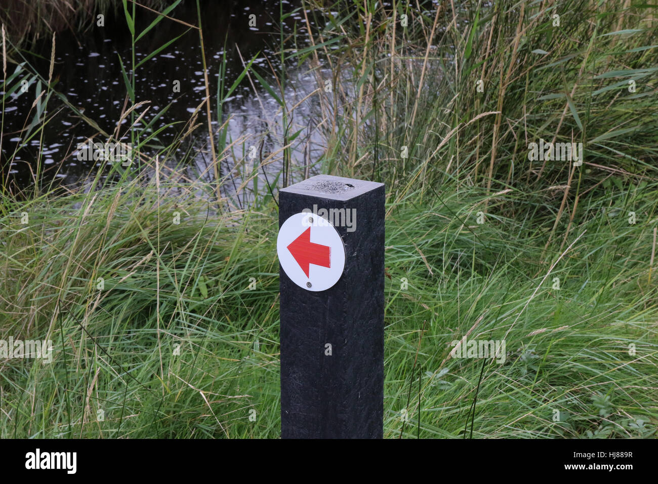 Walking route sign to Ballinskelligs Priory, Ballinskelligs, County ...