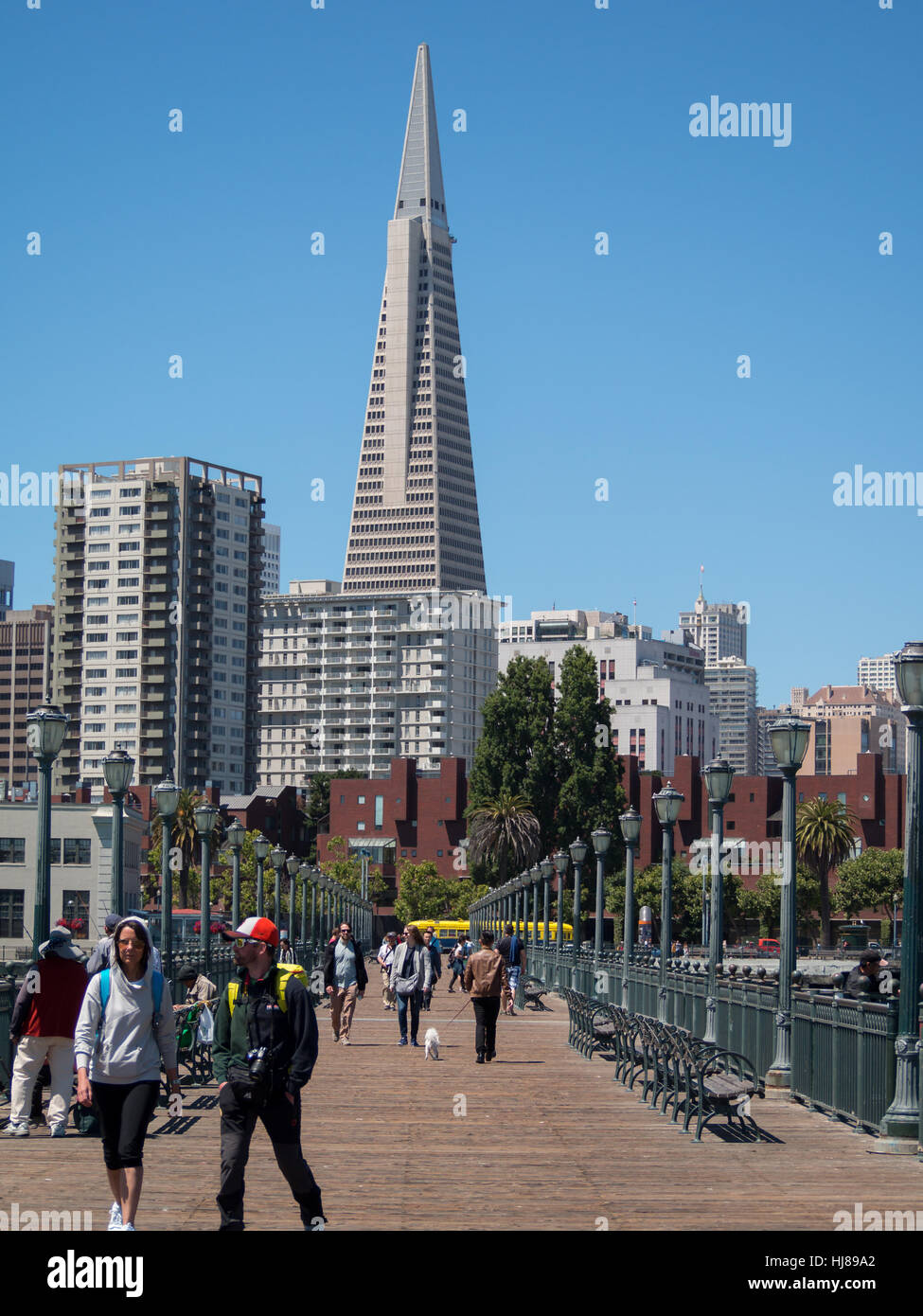 Transamerica pyramid from pier san hi-res stock photography and images ...