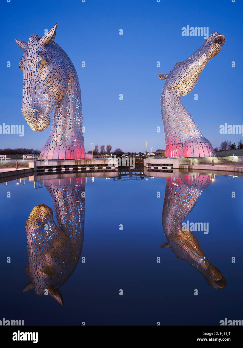 Red kelpie kelpies hi-res stock photography and images - Alamy