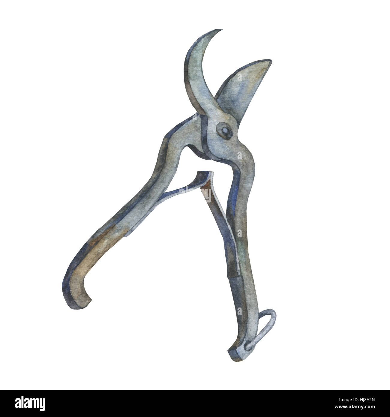 Secateurs- gardening tool. Hand drawn watercolor painting on white background Stock Photo - Alamy