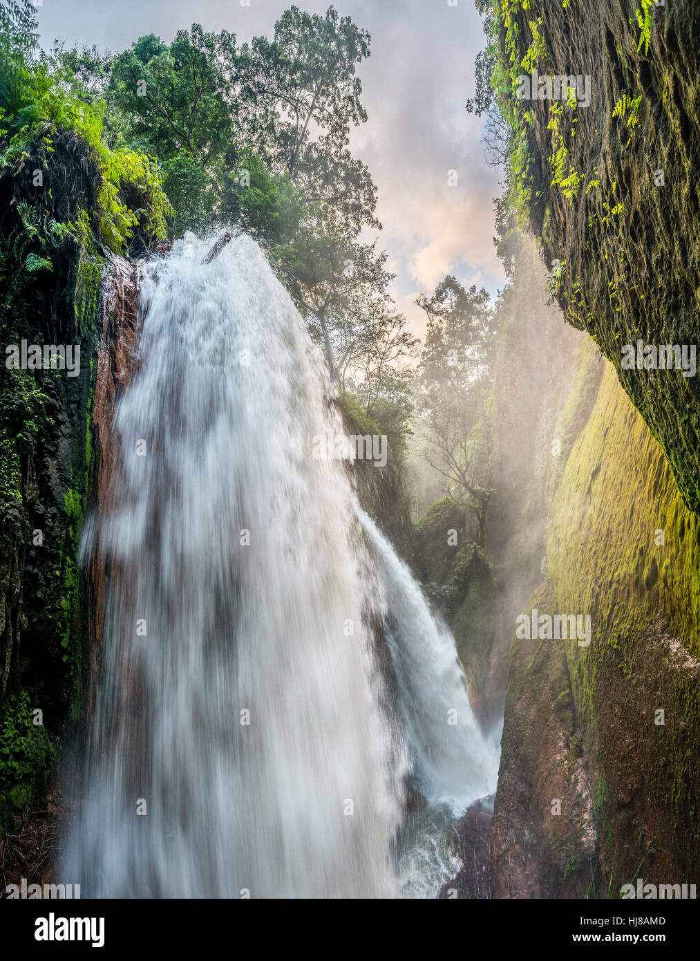 Terjun hi-res stock photography and images - Alamy