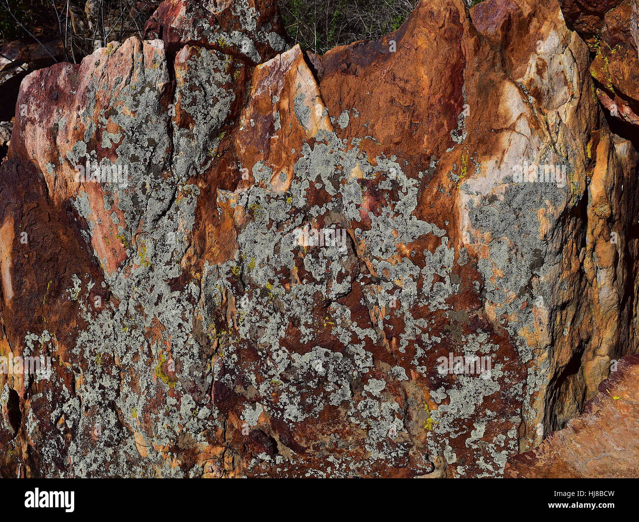 Iron bacteria hi-res stock photography and images - Alamy