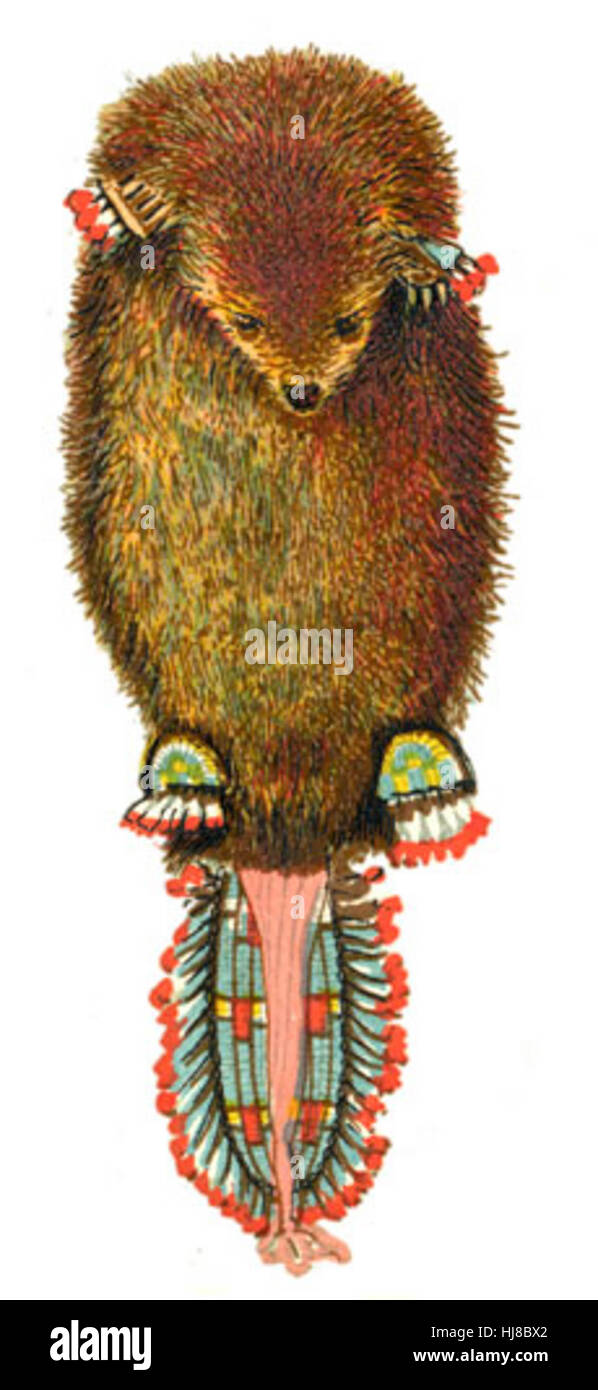 NATIVE AMERICAN BEADWORK: TOTEM MADE OF BEAVER SKIN Stock Photo - Alamy