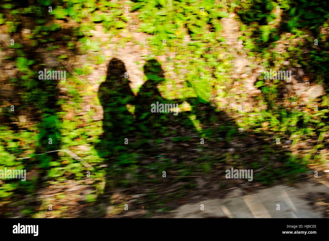 Shadow of lovers thai man and woman riding motorcycle on the road for ...