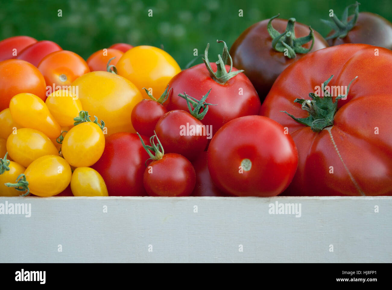 summer, summerly, biological, aromatic, vegetable, ecological, harvest ...