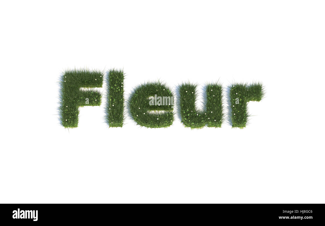 word, writing, font, typography, alternative, letter, renewable ...