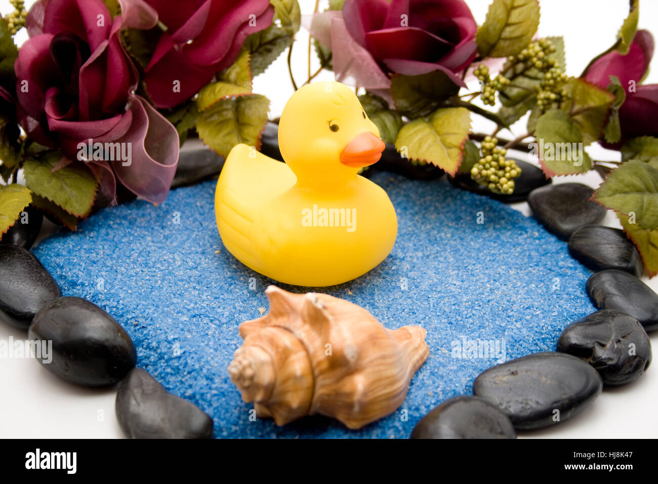 duck with roses Stock Photo - Alamy