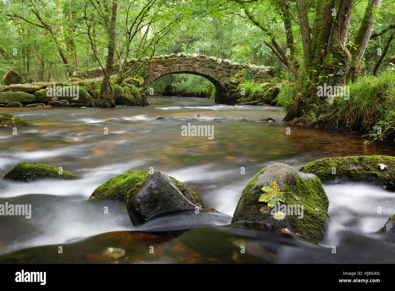 Devon river bridge trees hi-res stock photography and images - Alamy