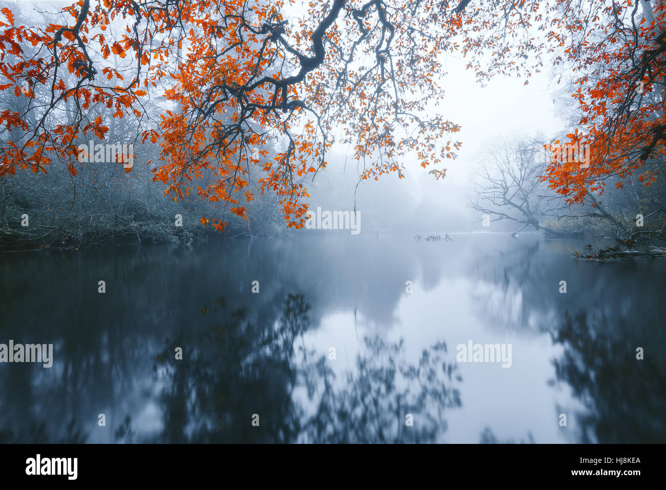 Dromore hi-res stock photography and images - Alamy