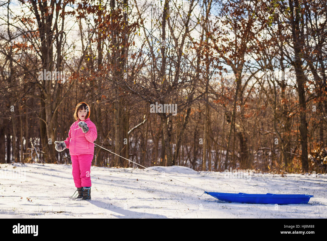 Girl pulling her sledge through the snow Stock Photo - Alamy