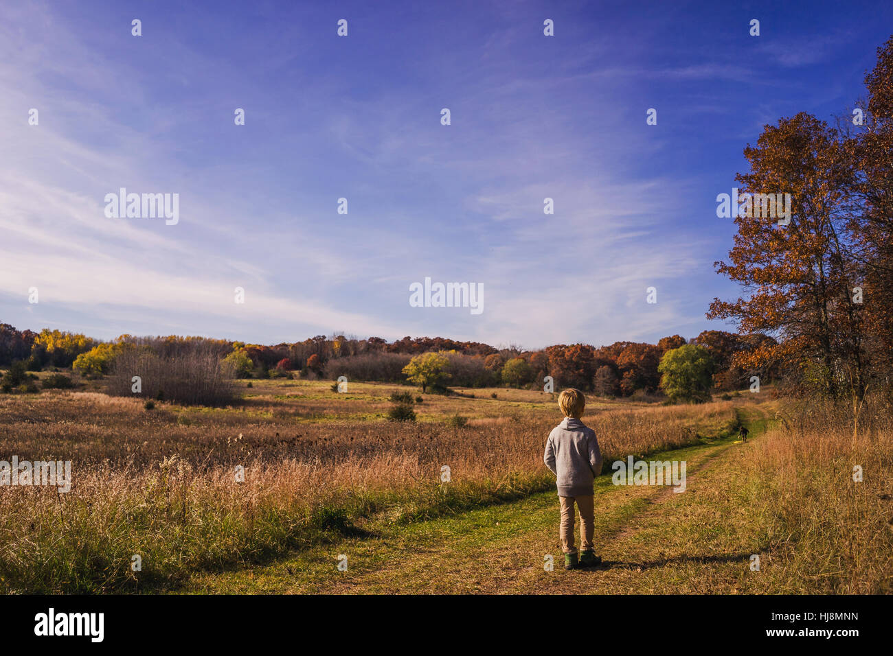 Boy walking along nature trail in autumn Stock Photo - Alamy