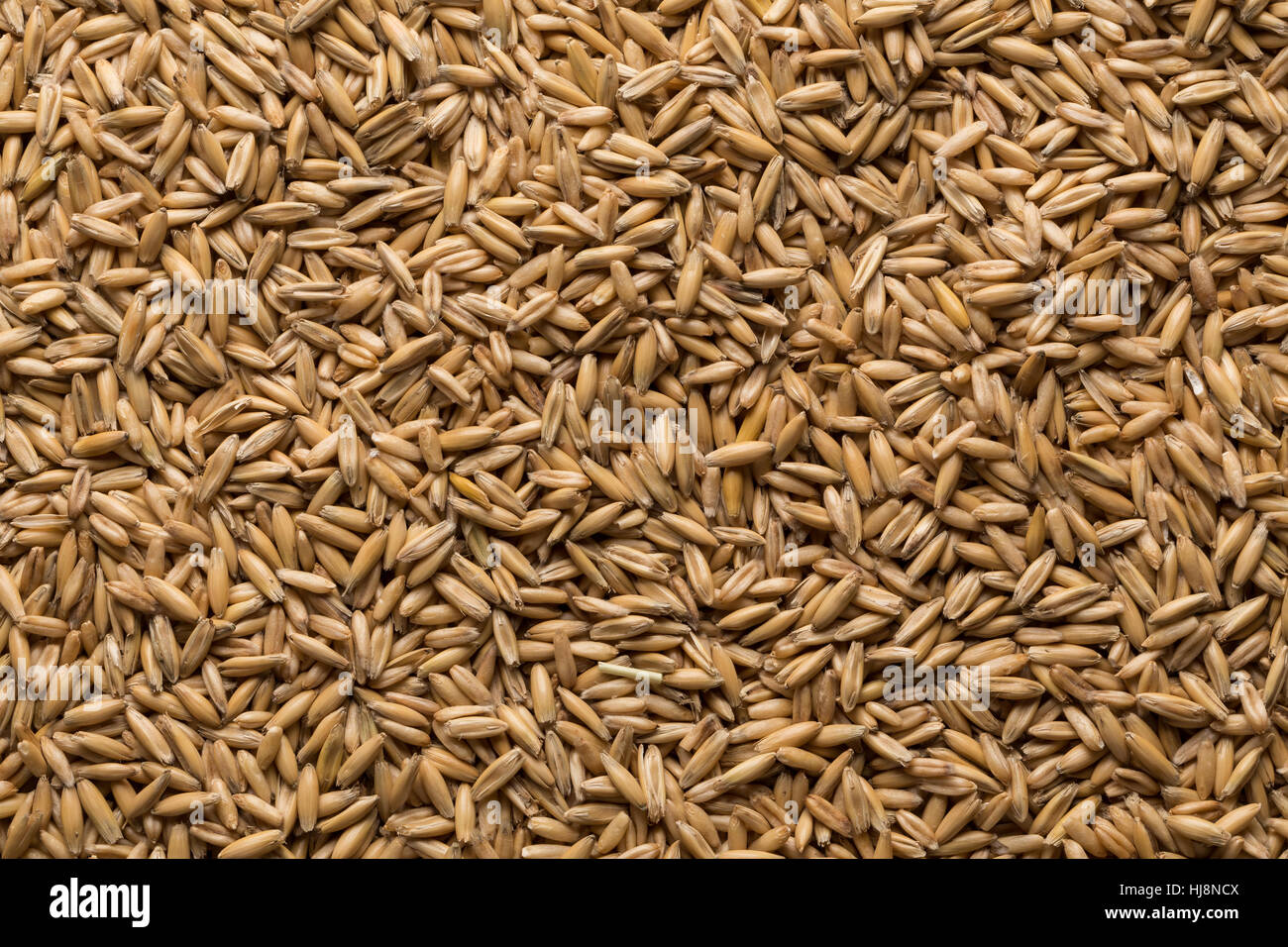 natural oat grains for background, close up shot Stock Photo - Alamy