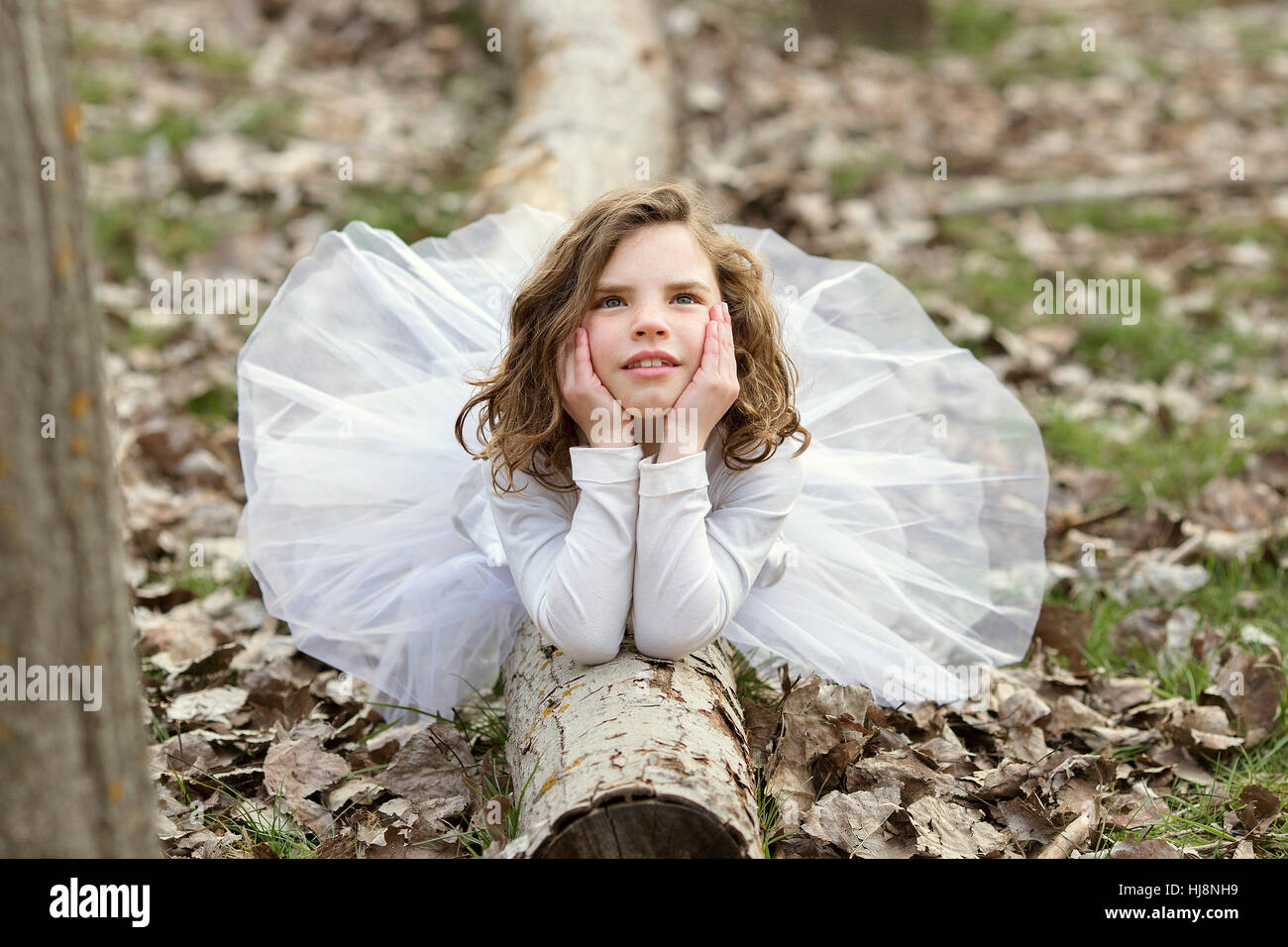 Lying on the tree hi-res stock photography and images - Alamy