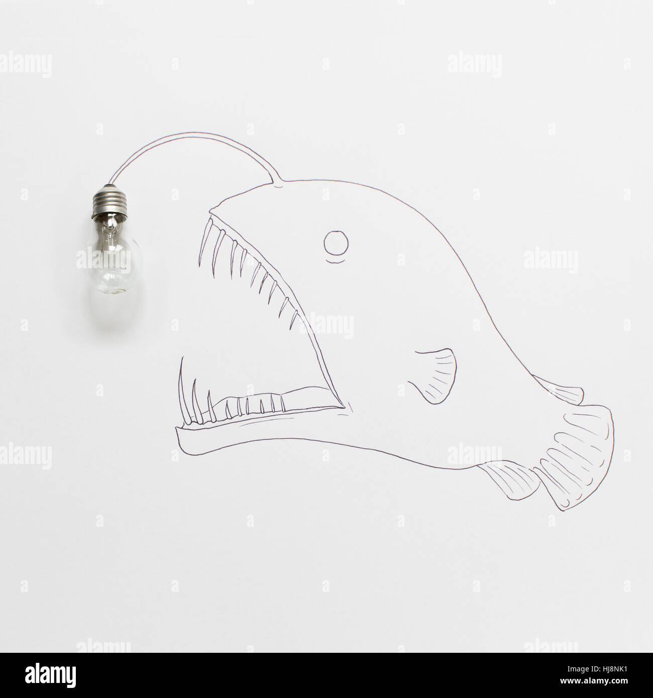 Fish With Light On Head