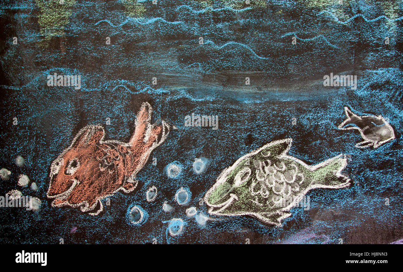 board, colour, fish, bubbles, blackboard, chalk, kid, color, colorful ...