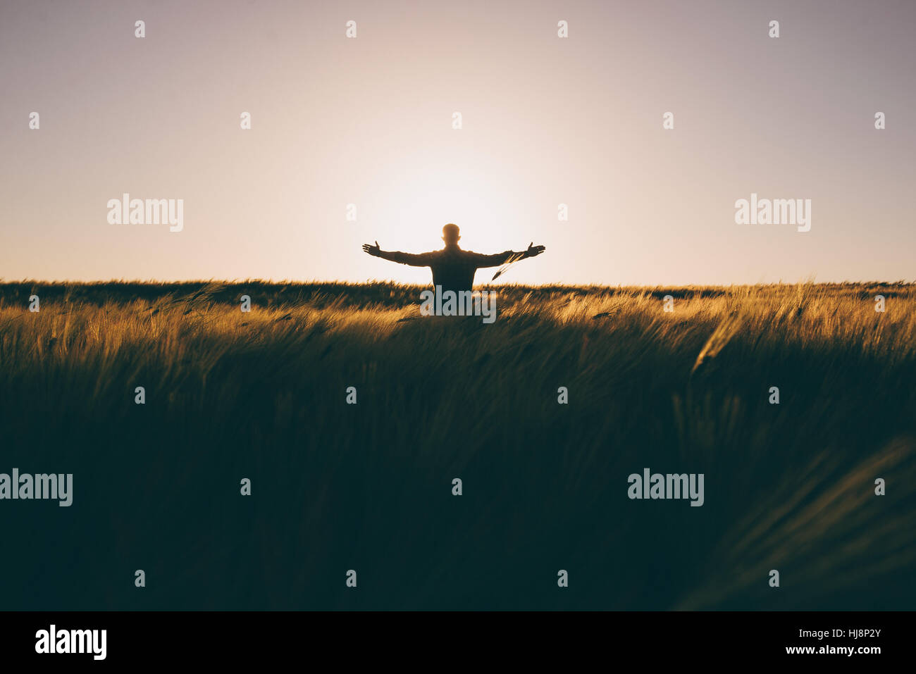 Man in a field hi-res stock photography and images - Alamy