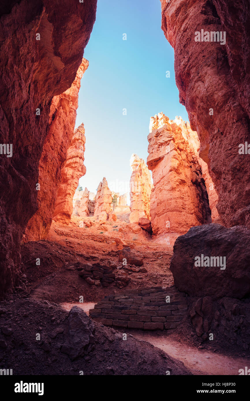 Path Winding Through Hoodoos, Bryce Canyon, Utah, United States Stock ...