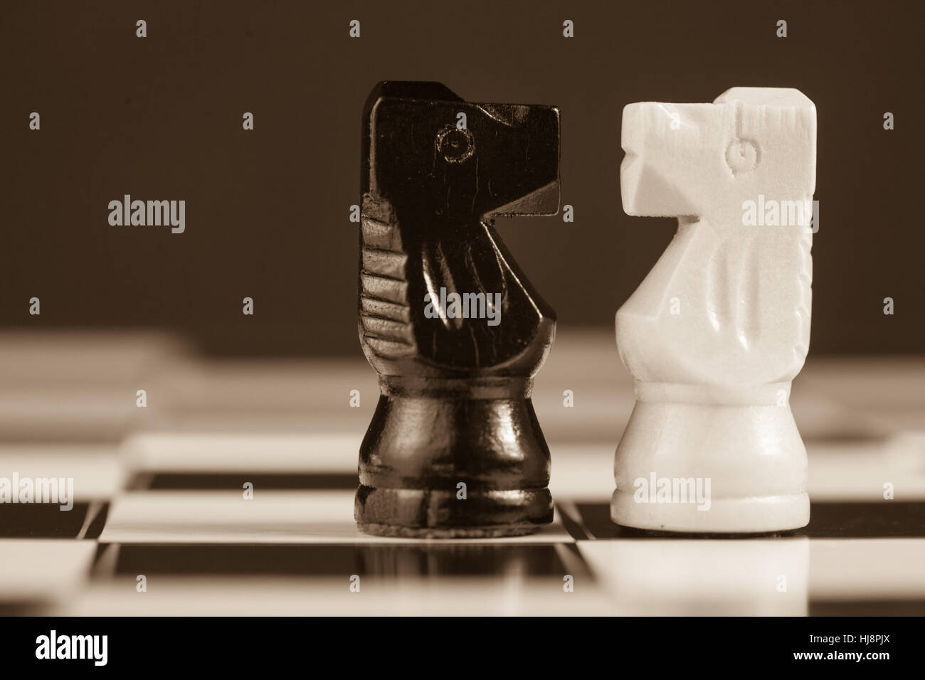 Two chess knights facing each other on the chess board Stock Photo - Alamy
