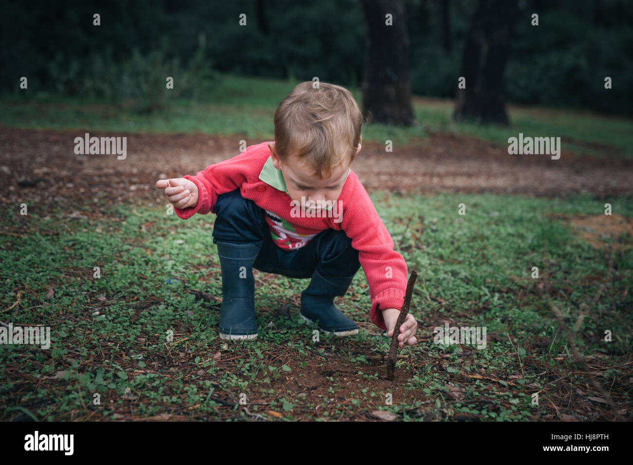 Boy looking at ants hi-res stock photography and images - Alamy