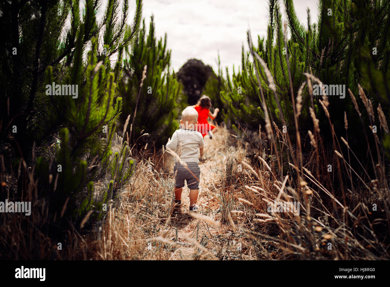 Running through grass hi-res stock photography and images - Alamy