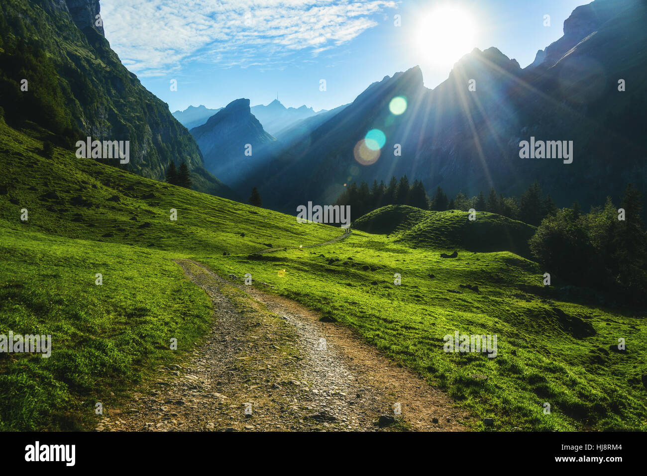Footpath in the alps hi-res stock photography and images - Alamy