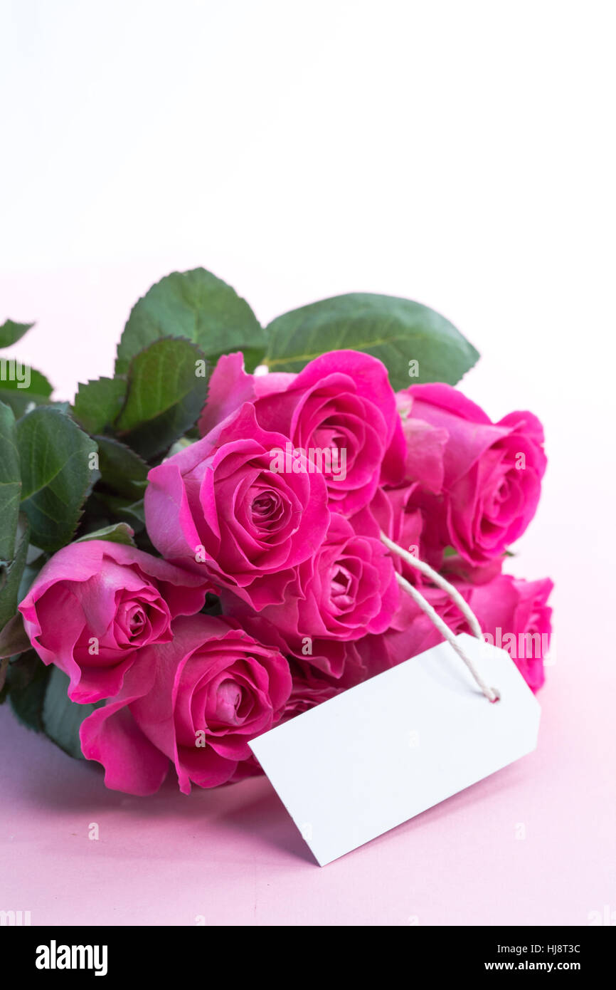 Bouquet of pink roses with an empty card on a light pink table Stock ...