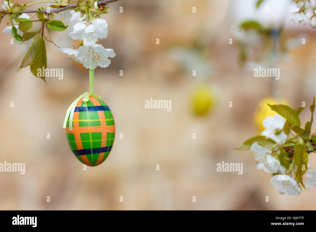 easter, easter egg, cherry blossom, Easter eggs, cherry tree, lawn ...