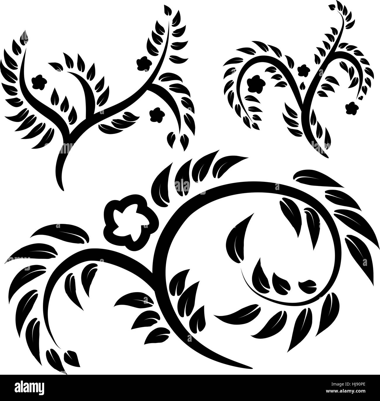 Black And White Vector Floral at Jacob Freeman blog