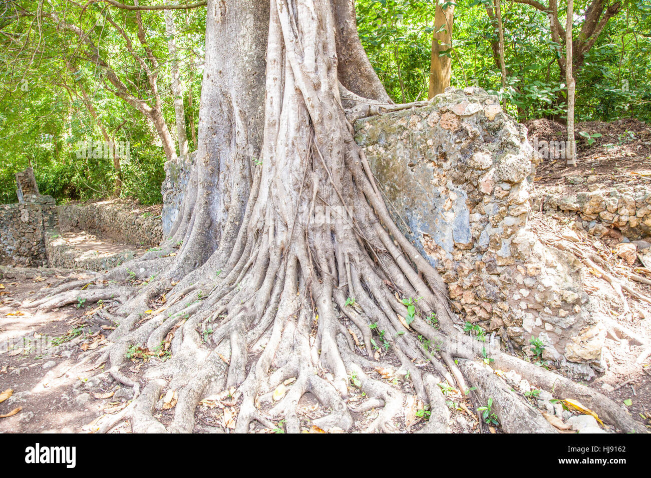 travel, historical, city, town, monument, culture, tree, trees, tourism ...