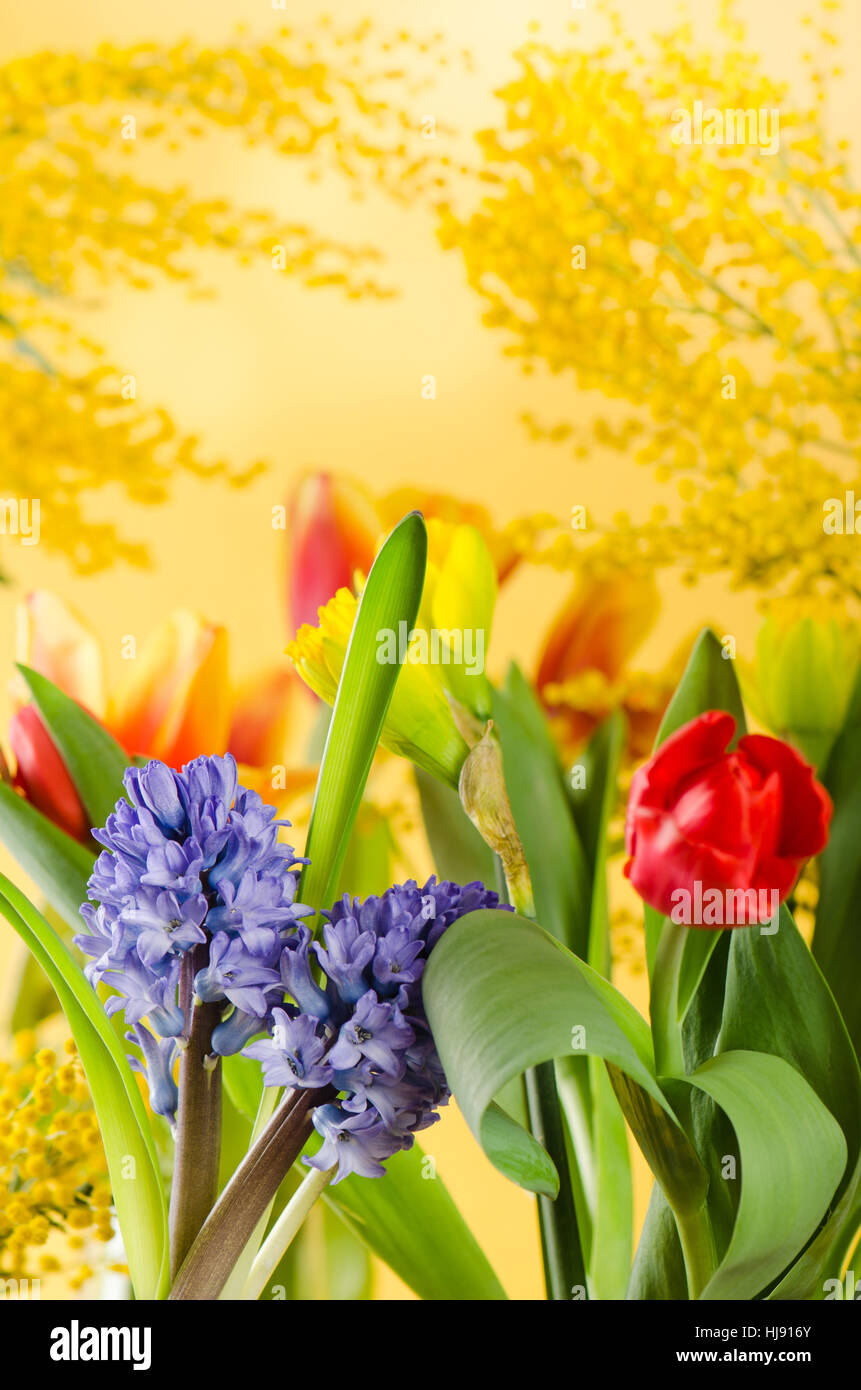 beautiful, beauteously, nice, leaf, objects, model, design, project ...