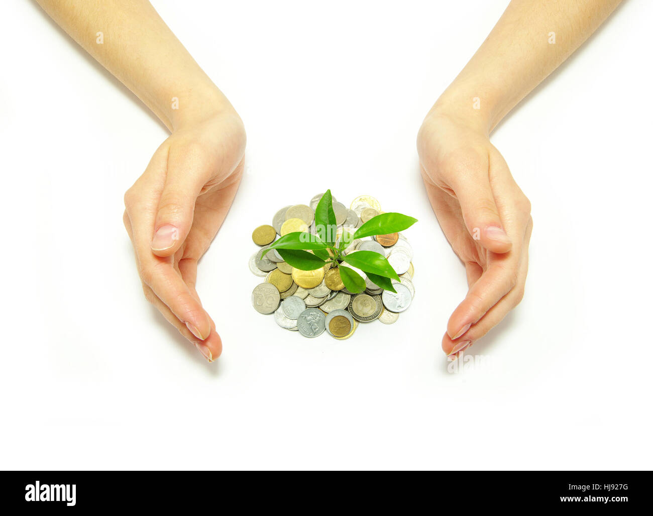 leaf, model, design, project, concept, plan, draft, tree, currency ...