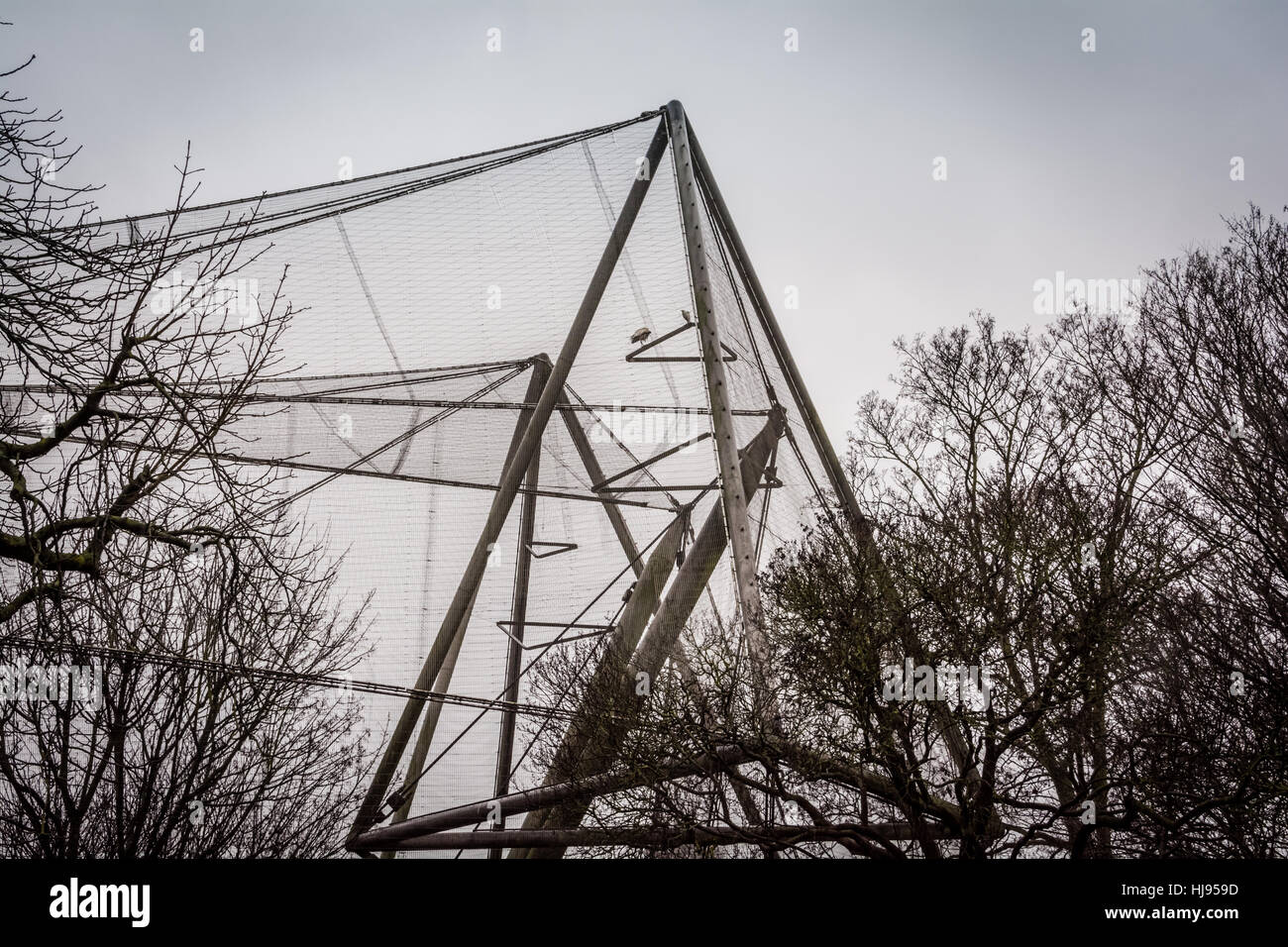 The iconic Snowdon Aviary at ZSL London Zoo, London, UK Stock Photo - Alamy