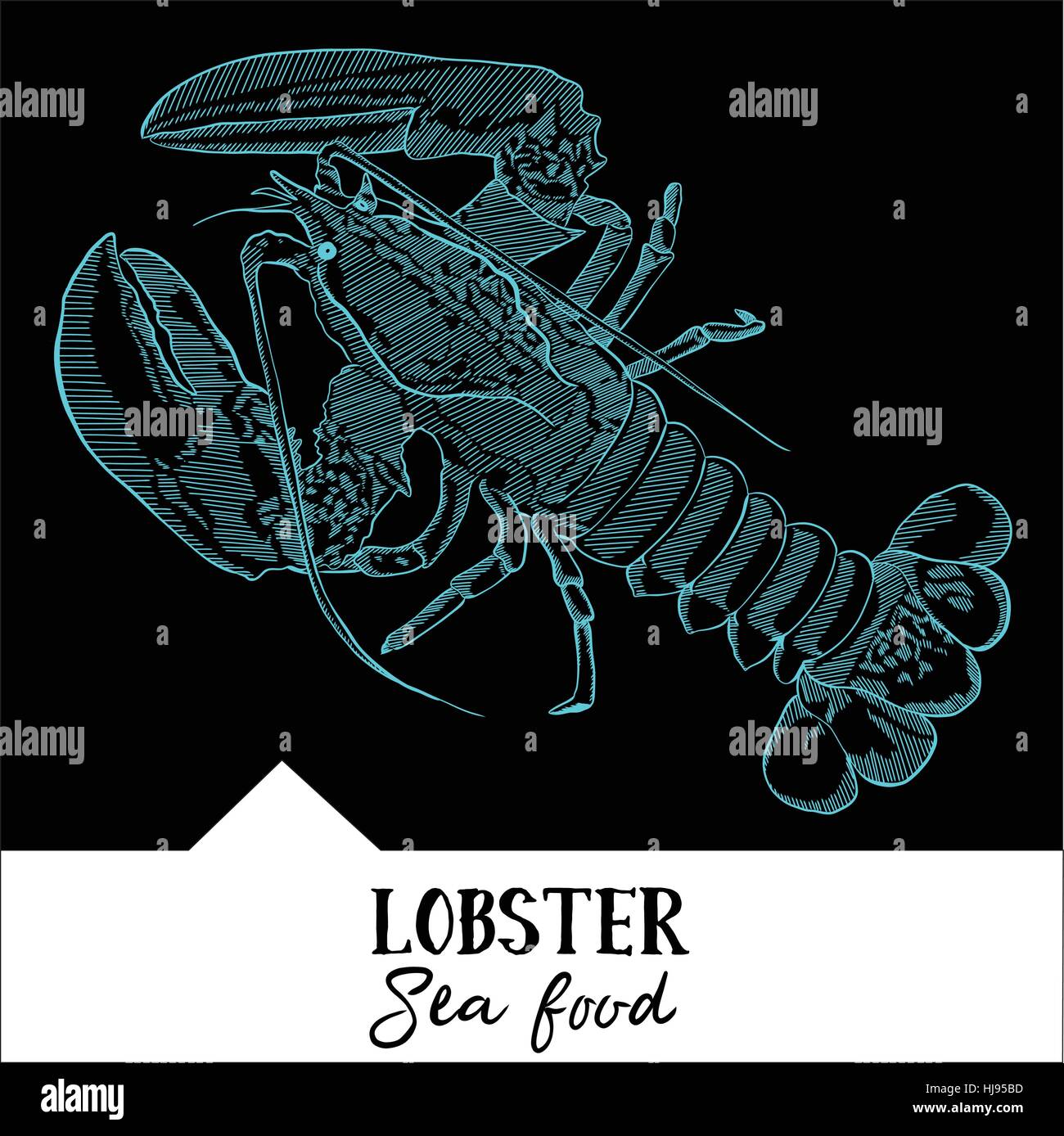 Hand drawn, vector illustration, design for a seafood restaurant menu ...