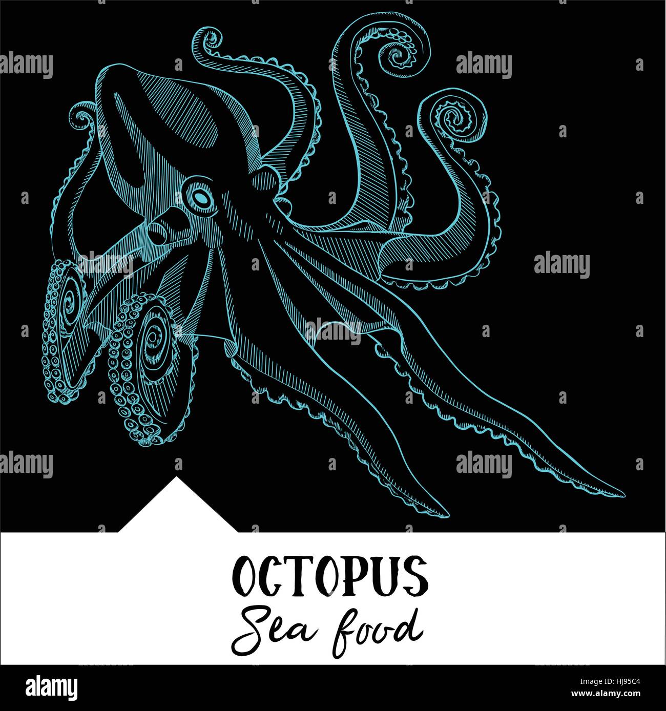 Hand drawn, vector illustration, design for a seafood restaurant menu ...