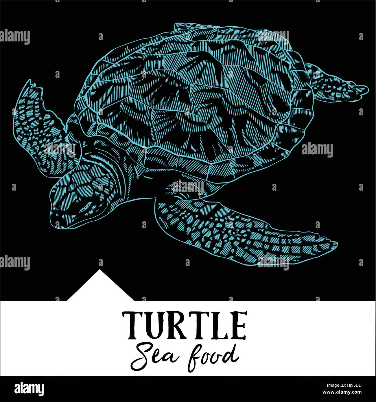 Hand drawn, vector illustration, design for a seafood restaurant menu ...