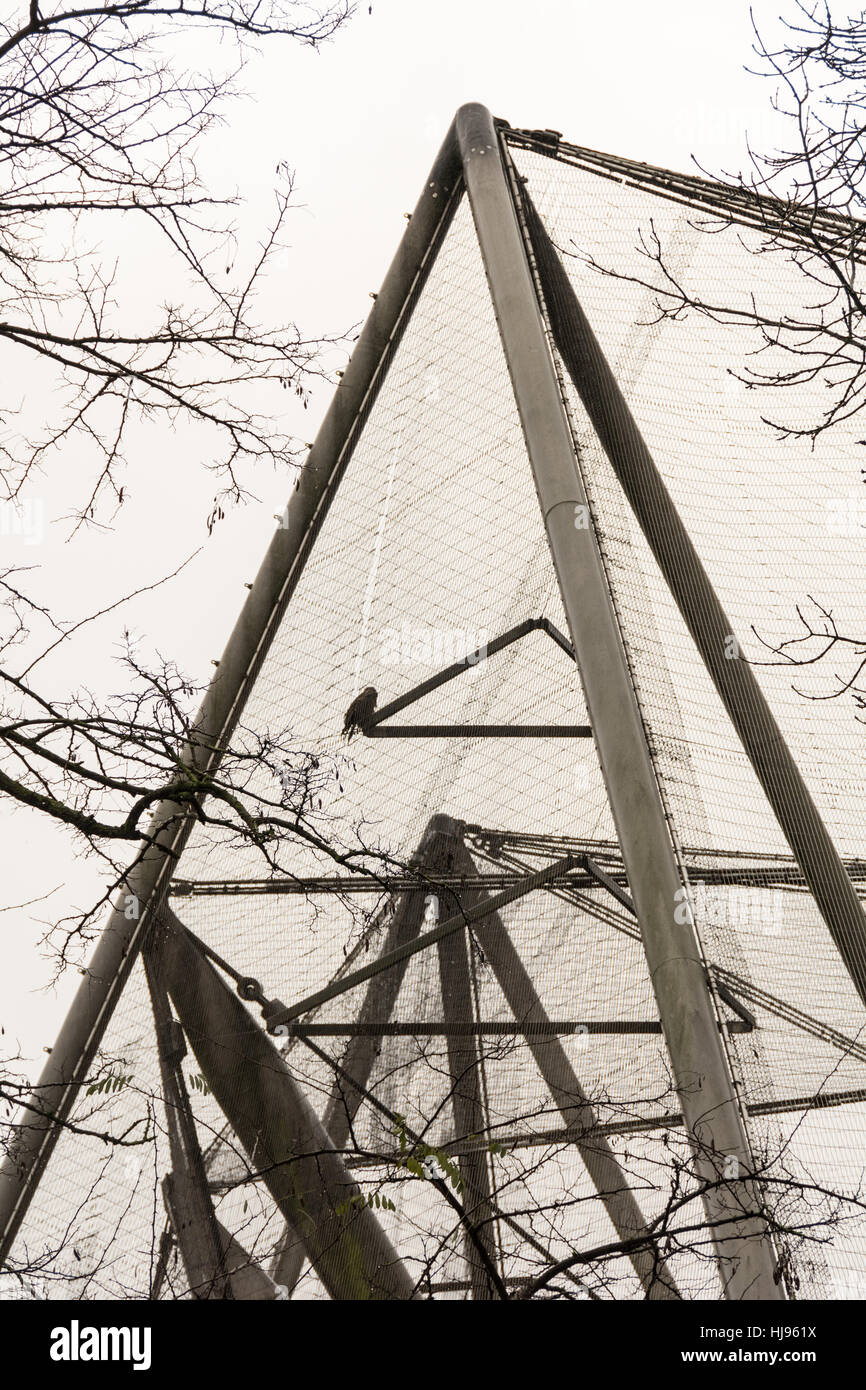The iconic Snowdon Aviary at ZSL London Zoo, London, UK Stock Photo - Alamy