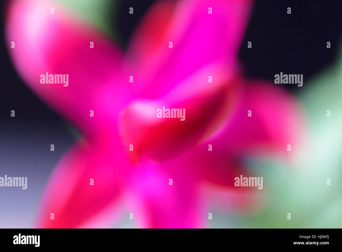 Abstraction pink flower on the dim background, for blurred background ...