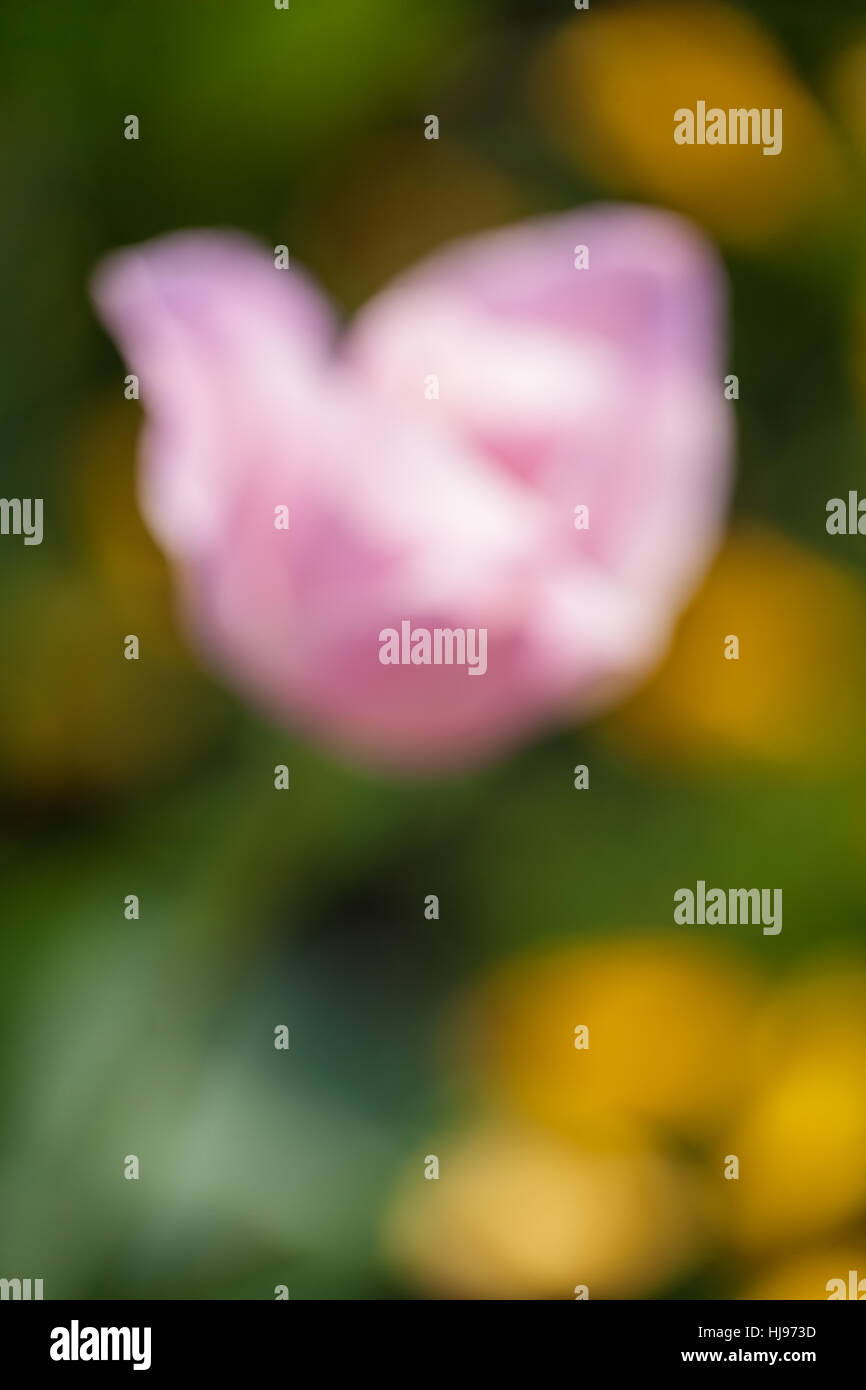 Dim background hi-res stock photography and images - Alamy