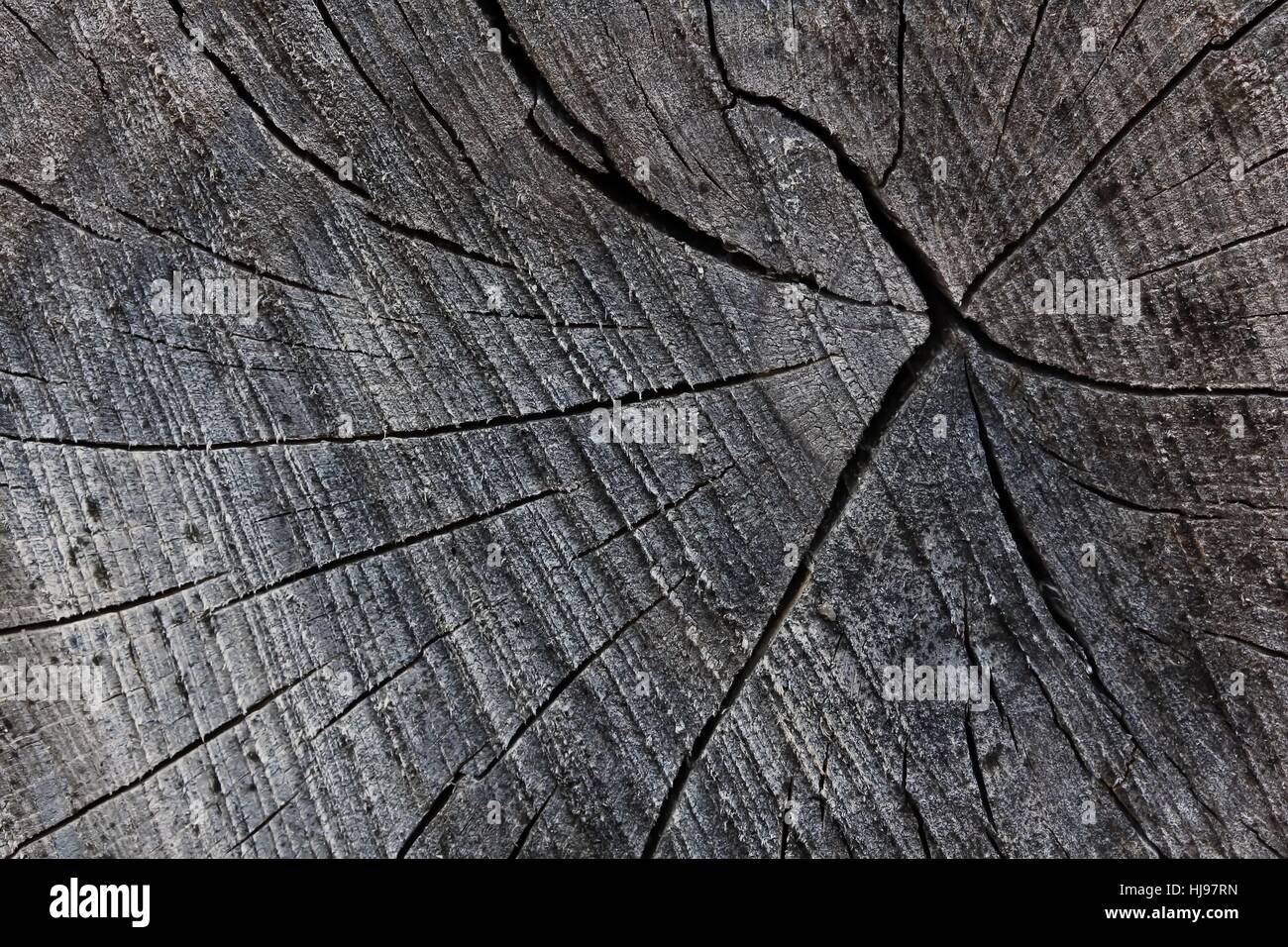 Wood splint hi-res stock photography and images - Alamy