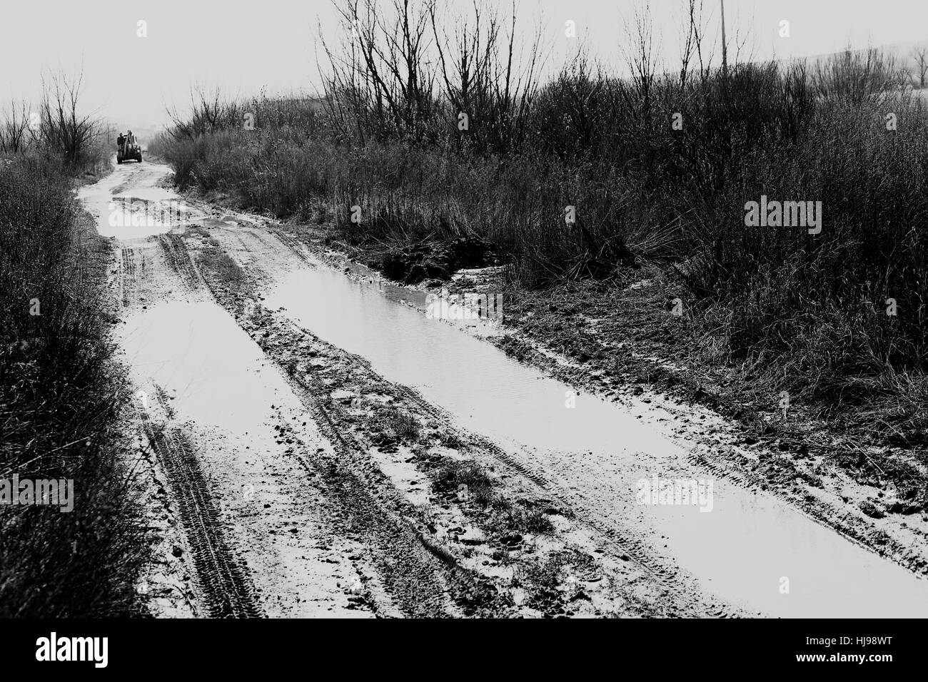 Autumn field road in Black and White Stock Photos & Images - Alamy