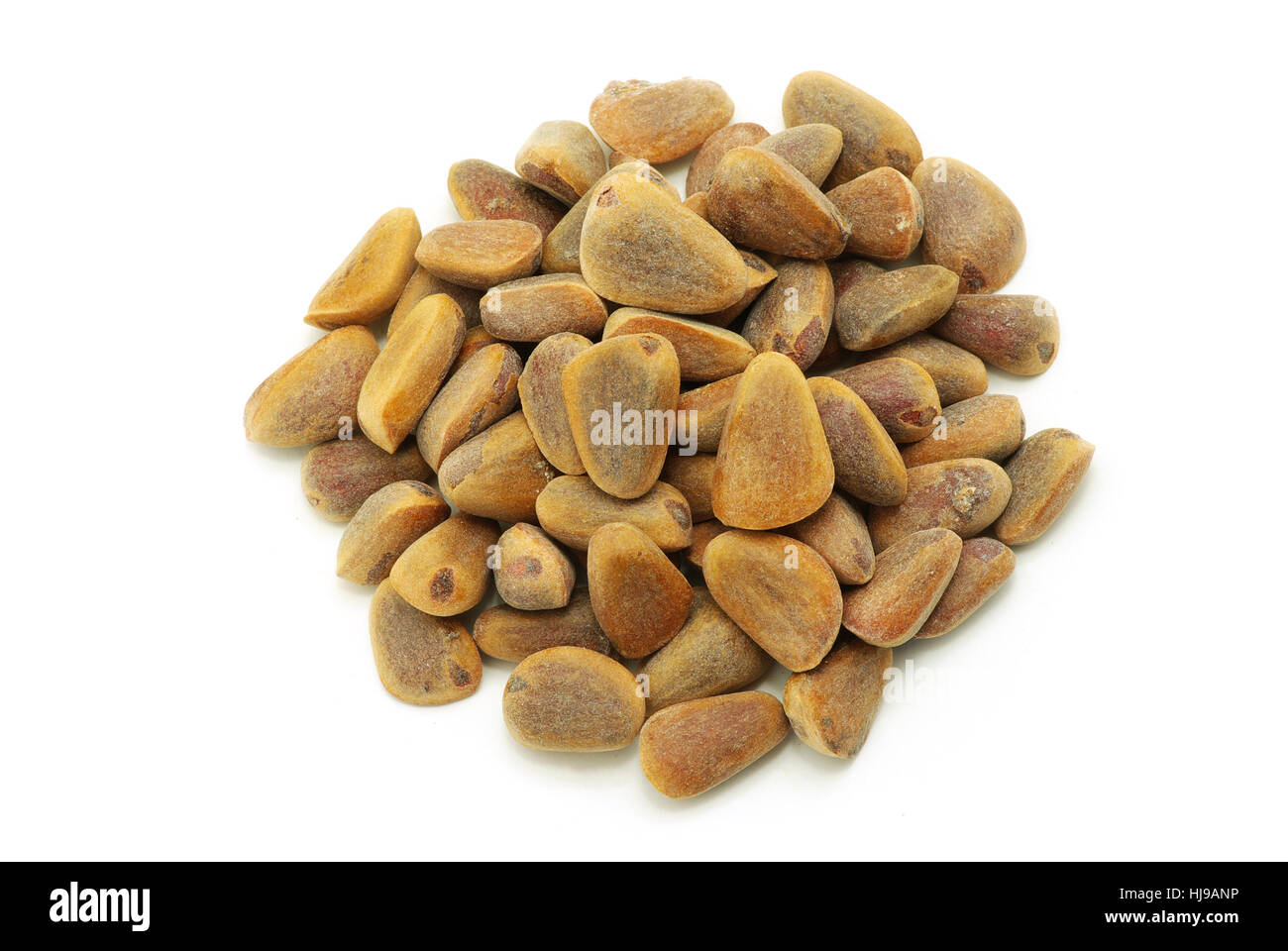 Cedar fruit Cut Out Stock Images & Pictures - Alamy