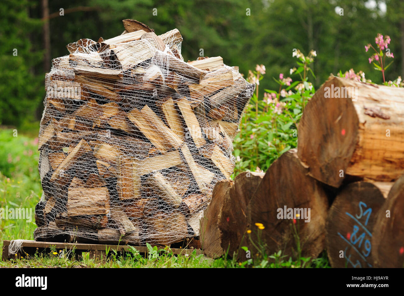 firewood in net bag Stock Photo - Alamy
